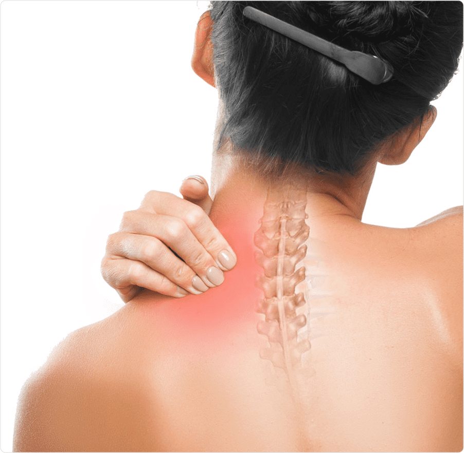 SpinePlus+ Harley Street 2 | Spine Plus